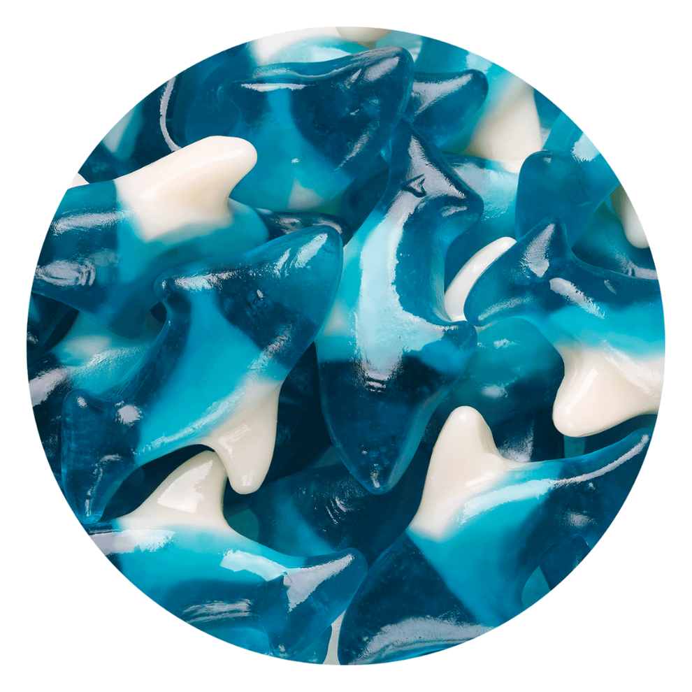 Albanese Blue Gummi Sharks - 5lb – Blair Candy Company
